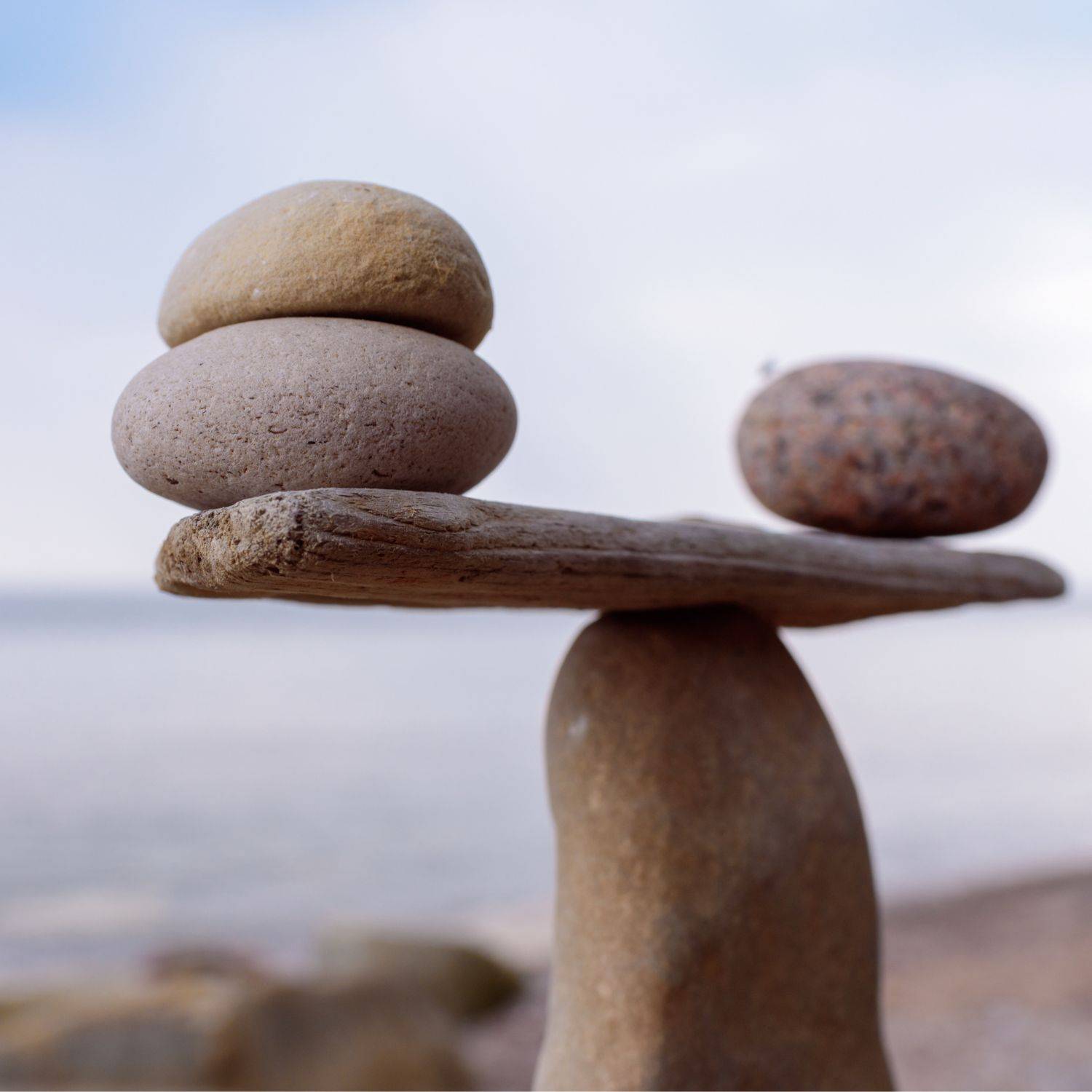 Comparing Titans of the US Stock Market: iShares XUU.TO vs Vanguard VUN.TO